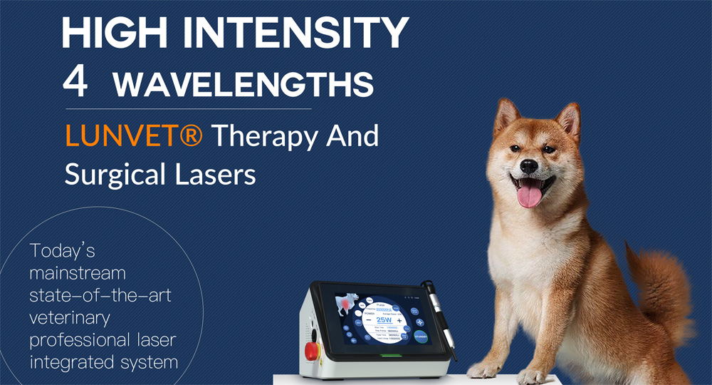 Lunvet_veterinary therapy laser